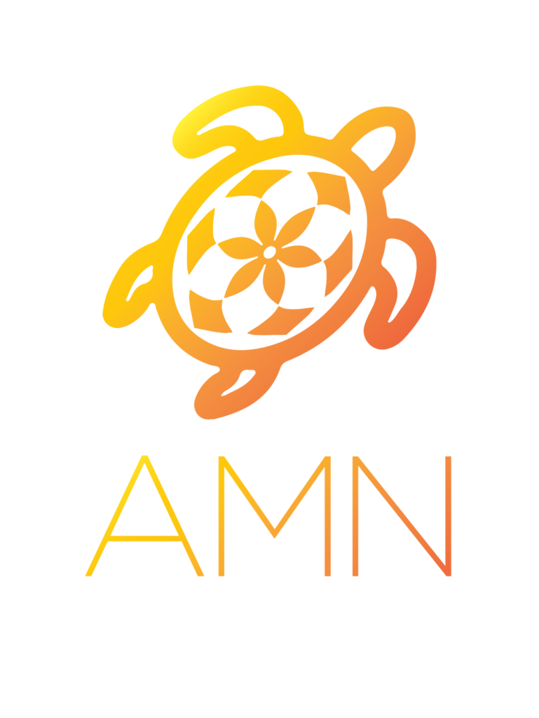 AMN logo s-sAmV | Datanalisis